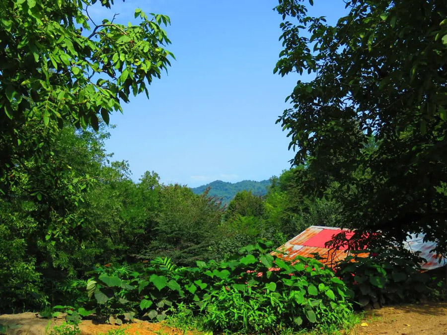 Have a tour around Sarvelat Village iFilm