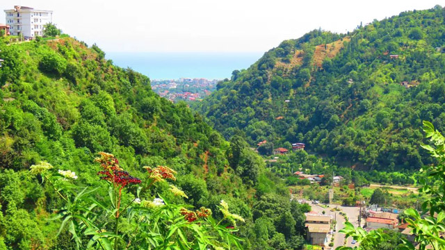 Have a tour around Sarvelat Village iFilm